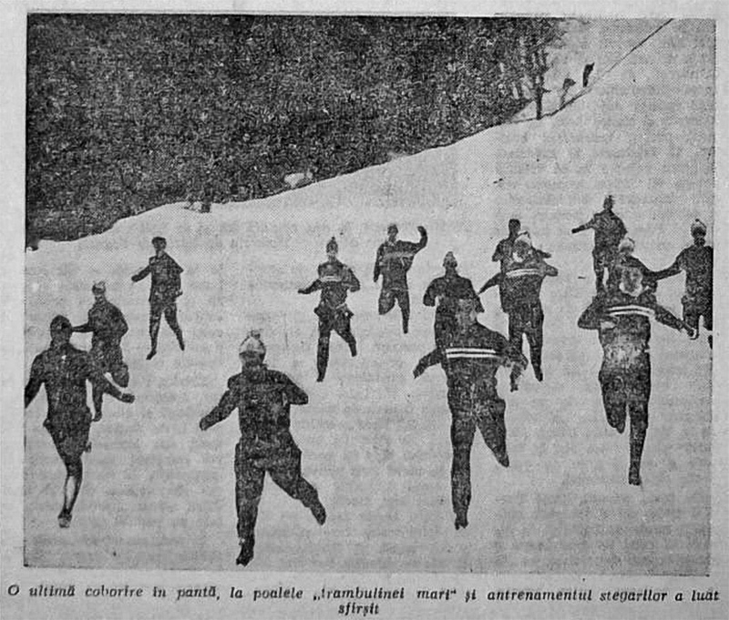 Fagul din Poiană | La Stegaru'